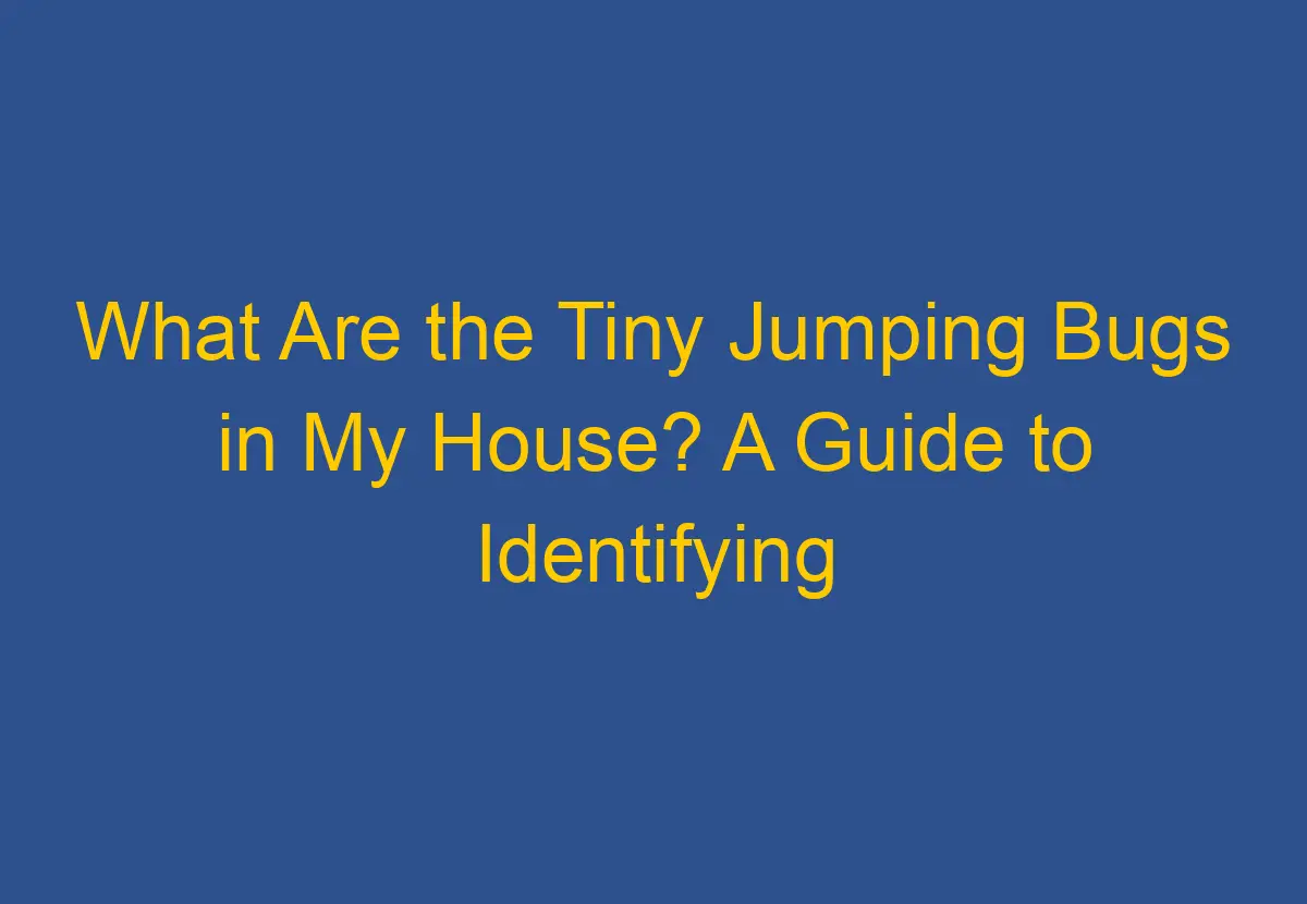 What Are the Tiny Jumping Bugs in My House? A Guide to Identifying and ...