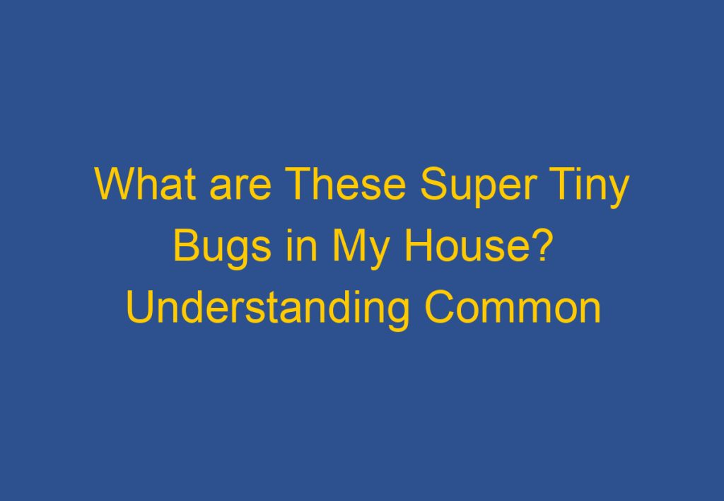 What Are the Tiny Black Flies in My House: Identification and ...