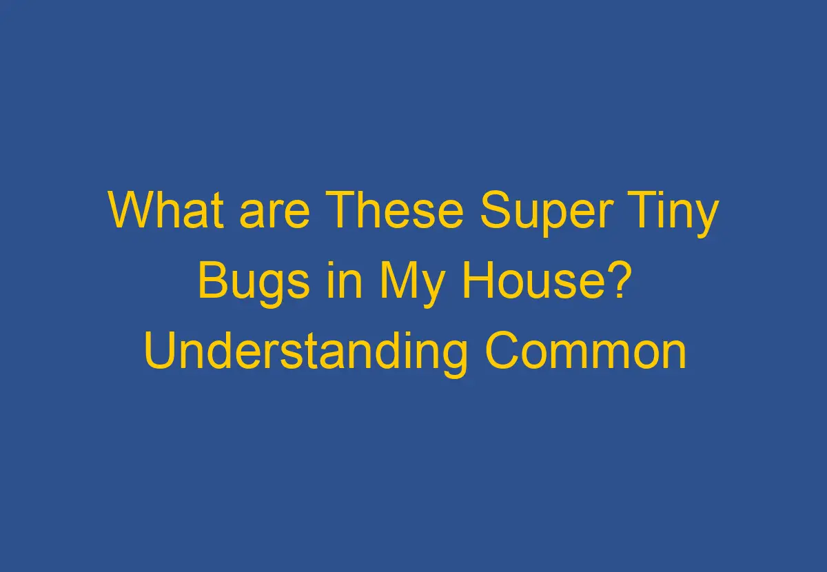 What are These Super Tiny Bugs in My House? Understanding Common ...