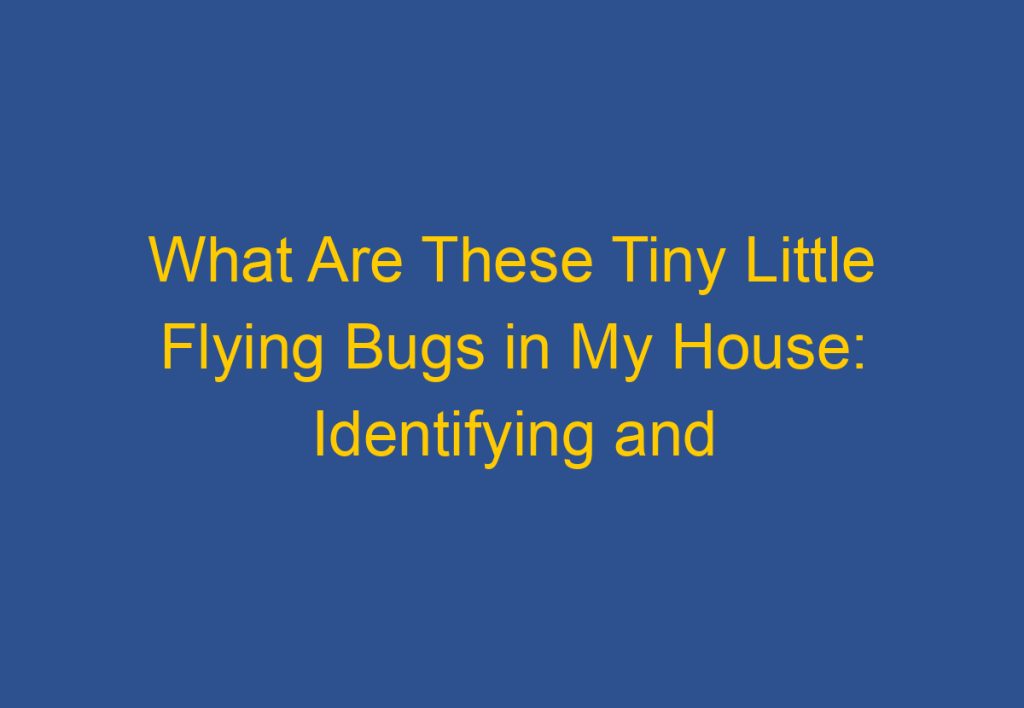 Are Tiny Homes Allowed In Colorado? (Rules & Regulation)